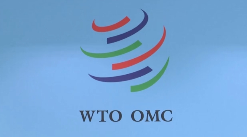 WTO "전 세계 무역 성장, 내년까지 둔화될 가능성 커" - SBS Biz