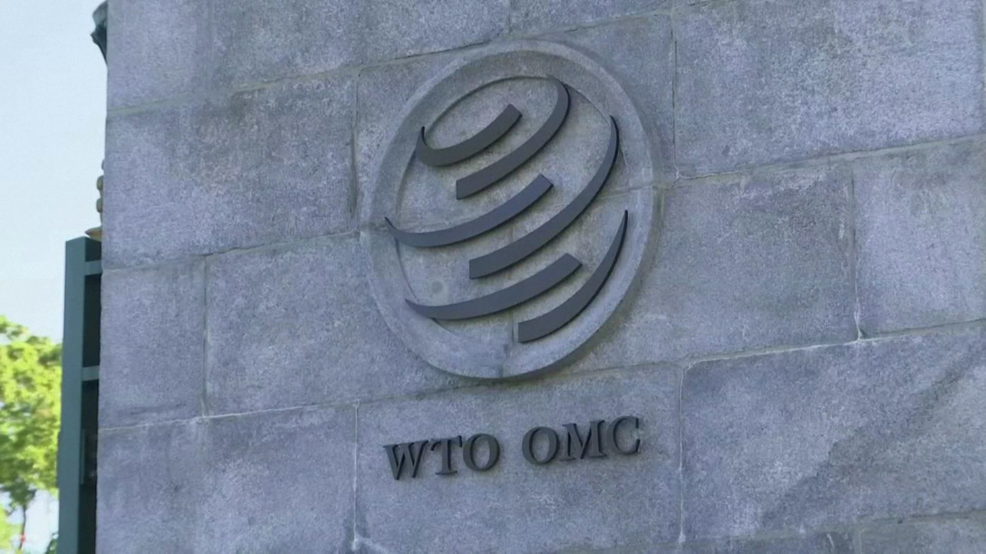 [김대호 박사의 오늘의 키워드] 파운드 트라우마·독일 원전·WTO 경고·시진핑 가택연금·선진국 국채클럽 - SBS Biz