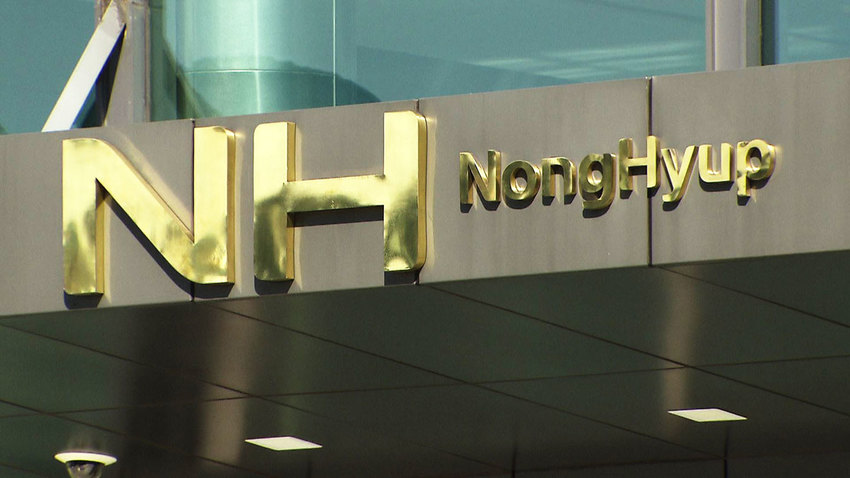 NH농협금융 2분기 순익 1.1조 '역대 최대'…은행 47%↑ - SBS Biz