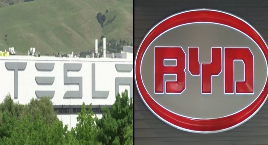 [김대호 박사의 오늘 기업·사람] 테슬라·BYD·DKNG·농심·CJ제일제당·오뚜기·네이버·카카오·구글·MS - SBS Biz