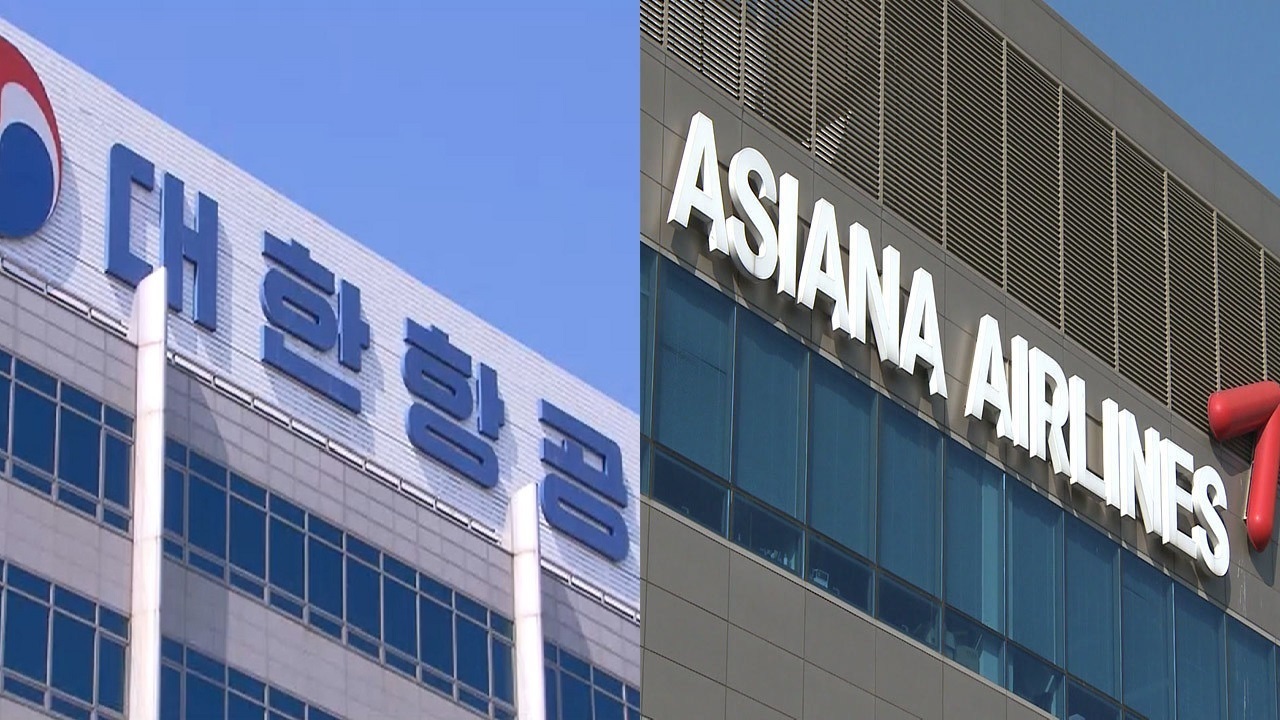 대한항공·아시아나 합병 다음 주 운명 갈린다 - SBS Biz
