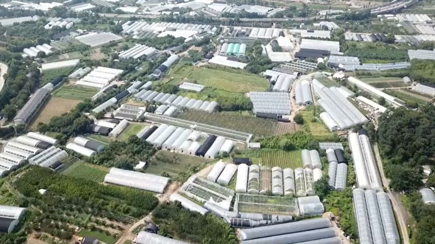 지난해 전국 땅값 0.82% 상승…15년 만에 최저폭 - SBS Biz