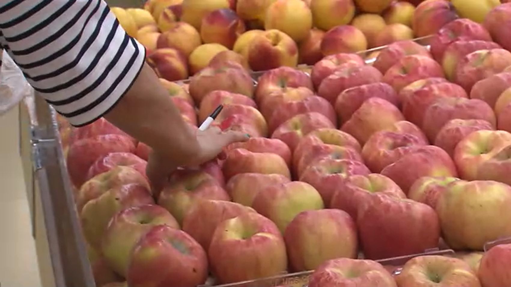 설 앞두고 신선 과실 28.5% 뛰었다…농산물 15.4% 급등 - SBS Biz