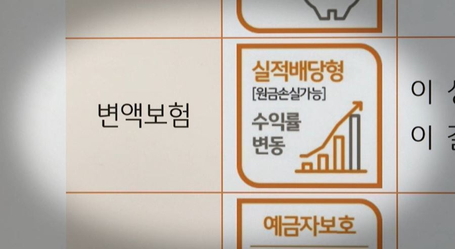 KB라이프 'ELS변액보험'도 금감원 줄줄이 민원 - SBS Biz