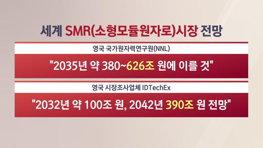 'AI'와 함께 뜬다…빌게이츠도 꽂힌 'SMR' [글로벌 뉴스픽] - SBS Biz