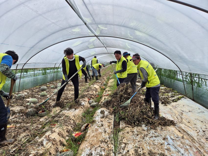 KB·우리·NH금융 "집중 호우 피해 이재민에 긴급 금융 지원" - SBS Biz