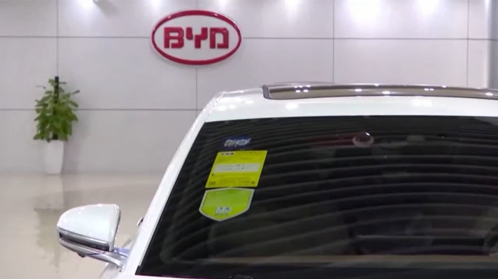 [글로벌 비즈] 中 BYD, 2분기 '쾌속질주' - SBS Biz