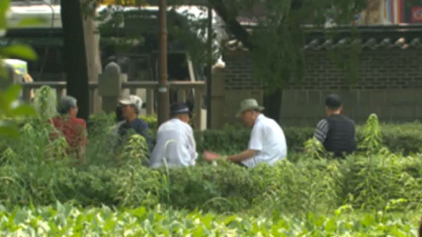 65세 이상 인구 20%…초고령사회 진입 - SBS Biz