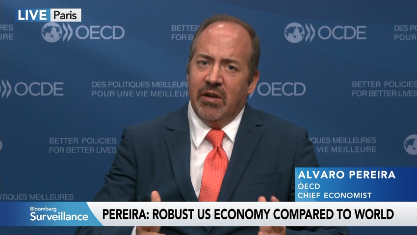 OECD 이코노미스트 "美 경제 매우 견고해" - SBS Biz