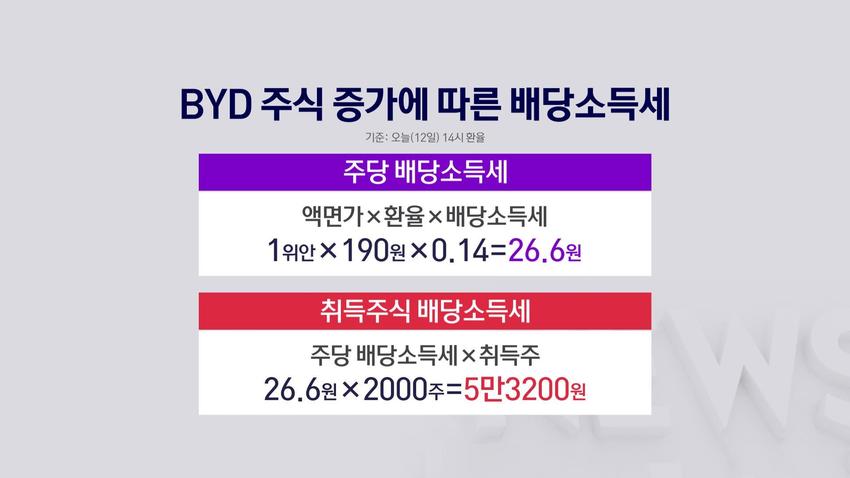 BYD 무상증자에 '양도세' 덜미…중학개미 '세금 폭탄' - SBS Biz