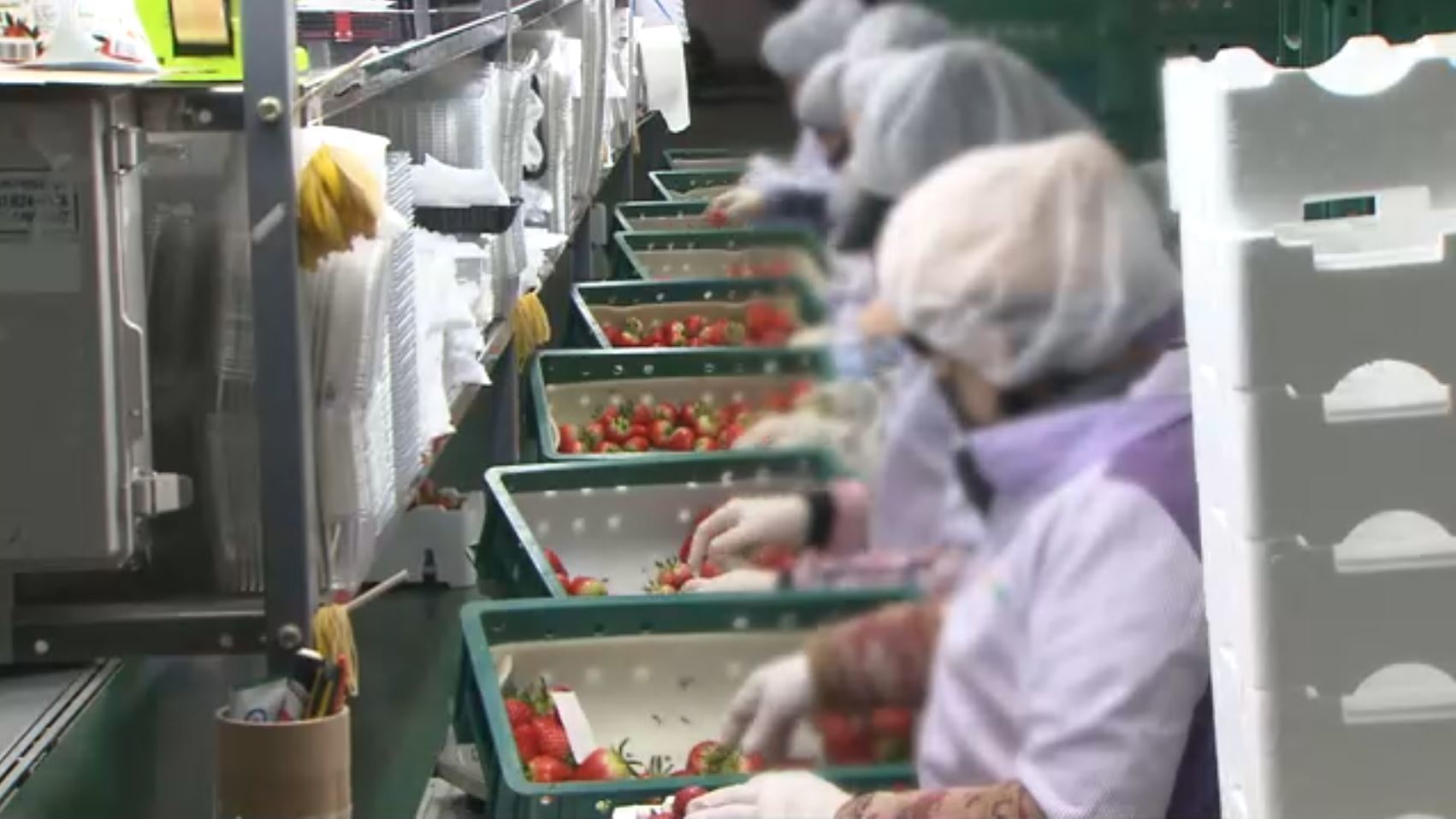 설빙에 하삼동커피까지…연말 코앞 줄인상